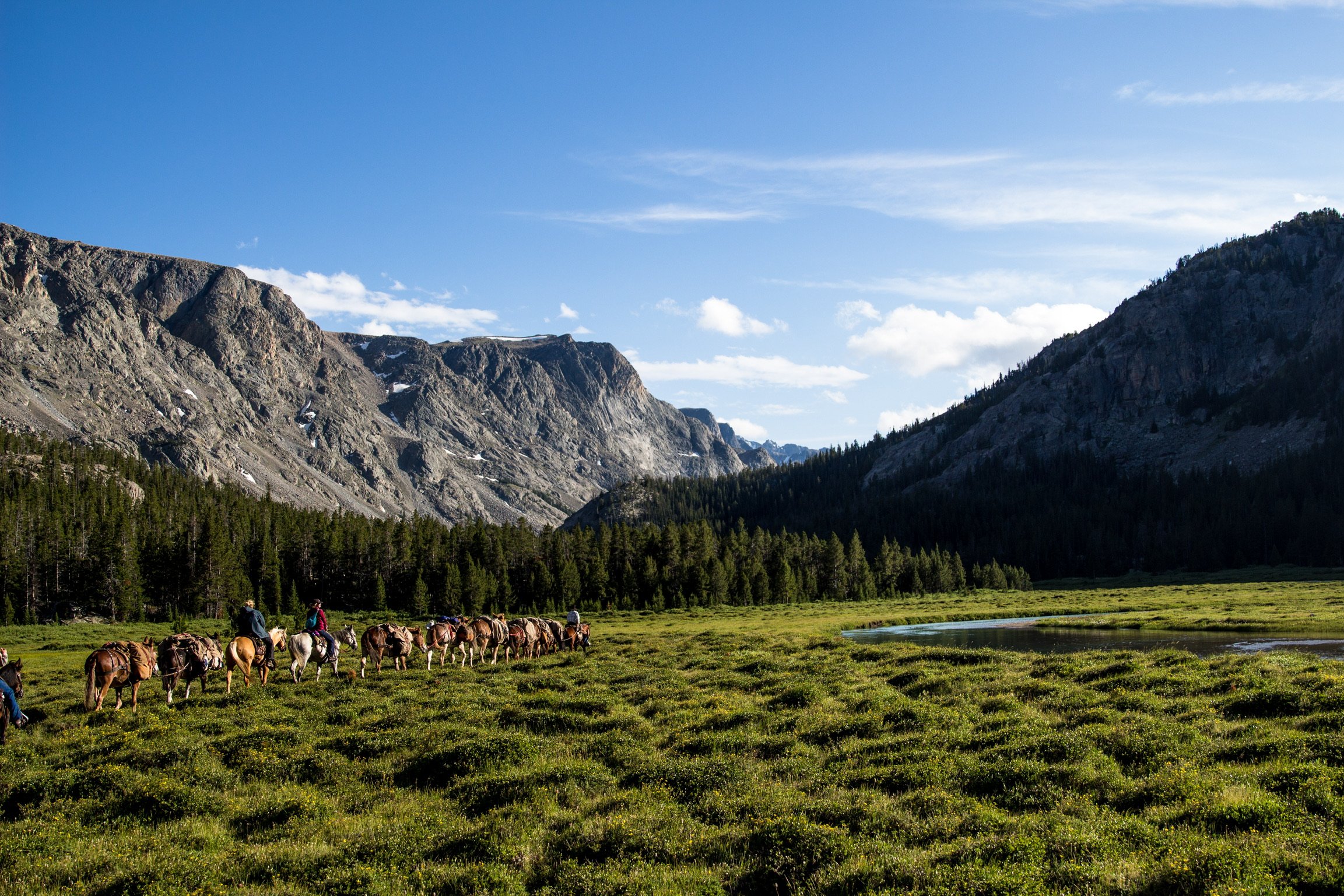 VOAG - Veterans' Outdoor Advocacy Group