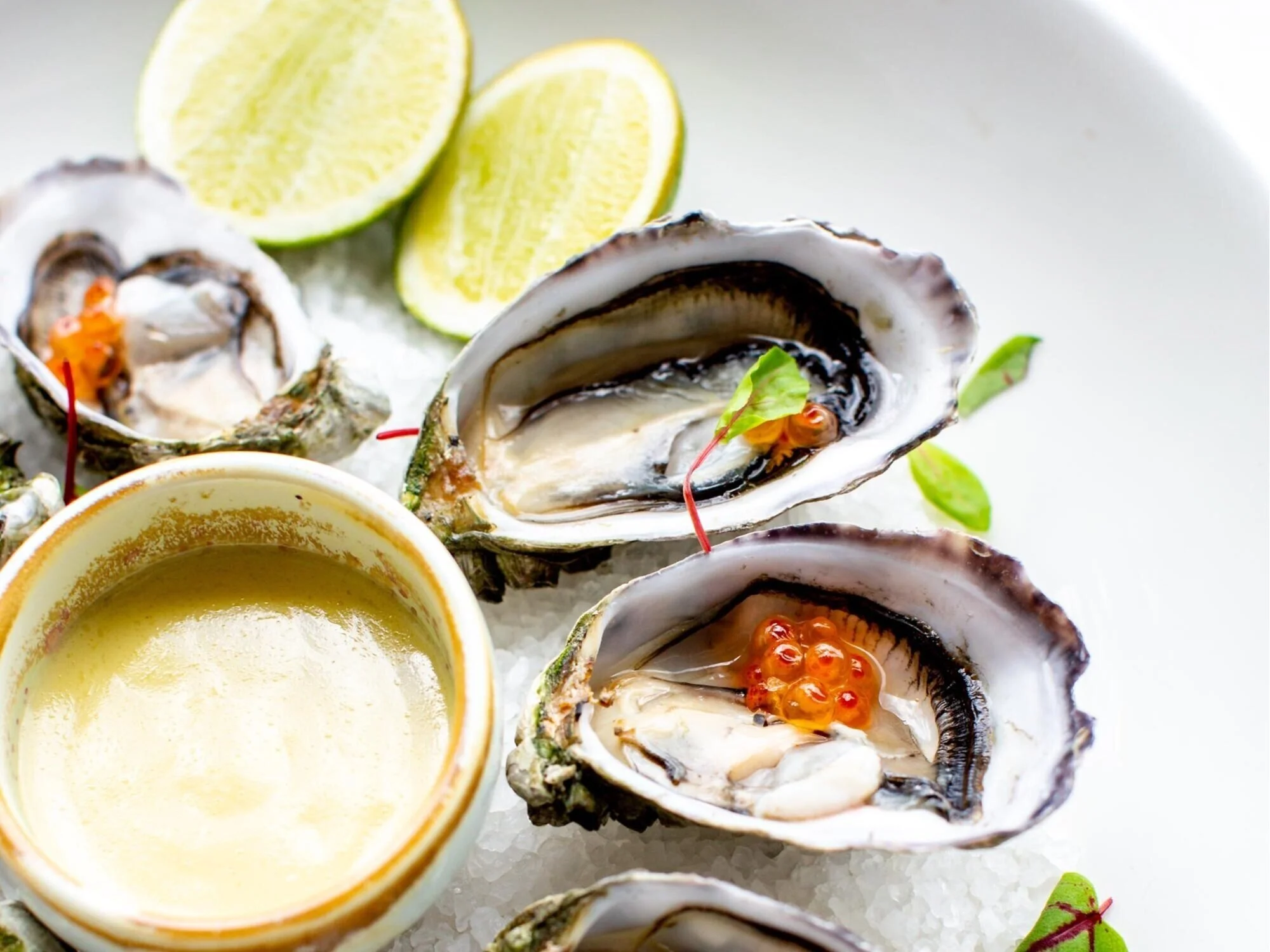 MASSIMO Award-Winning Italian Cuisine on Eagle Street