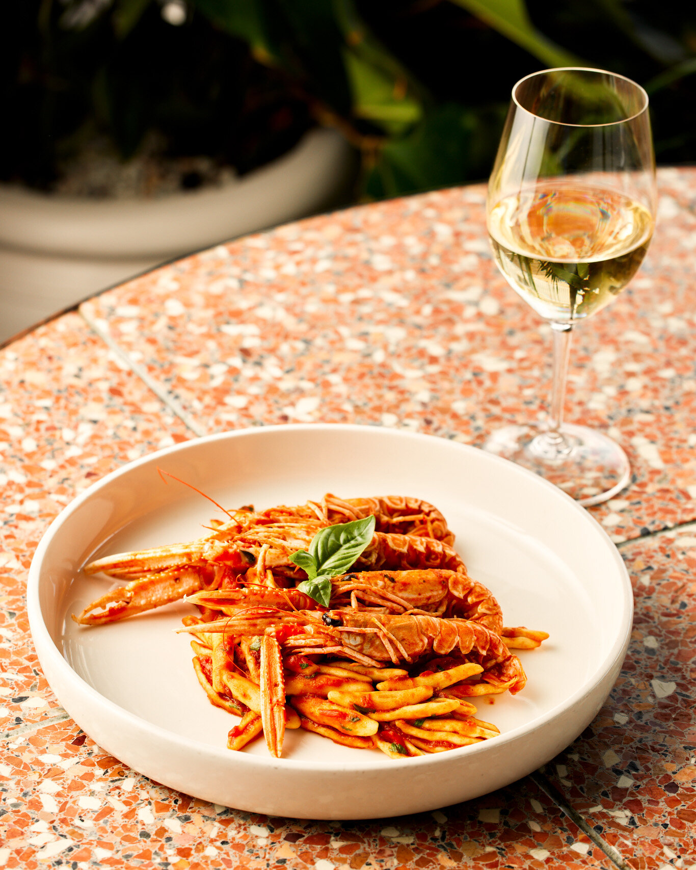 Massimo Italian Restaurant Brisbane Award-Winning Italian Cuisine on ...