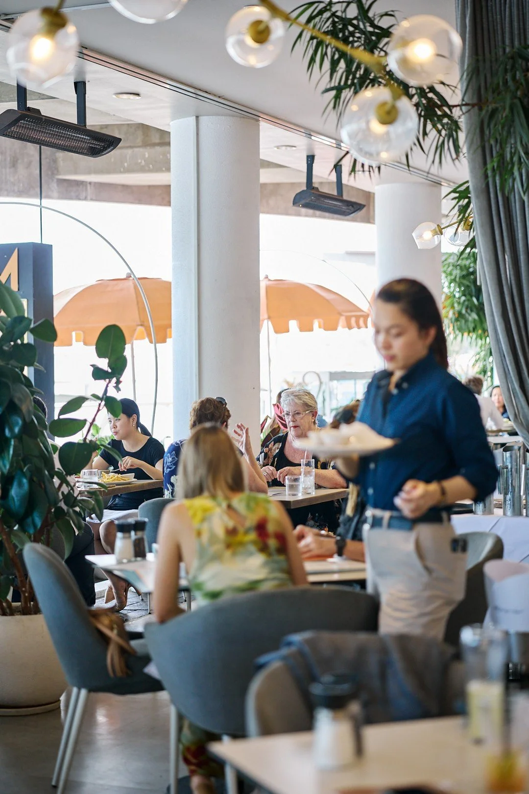 Massimo Italian Restaurant Brisbane Award-Winning Italian Cuisine on ...