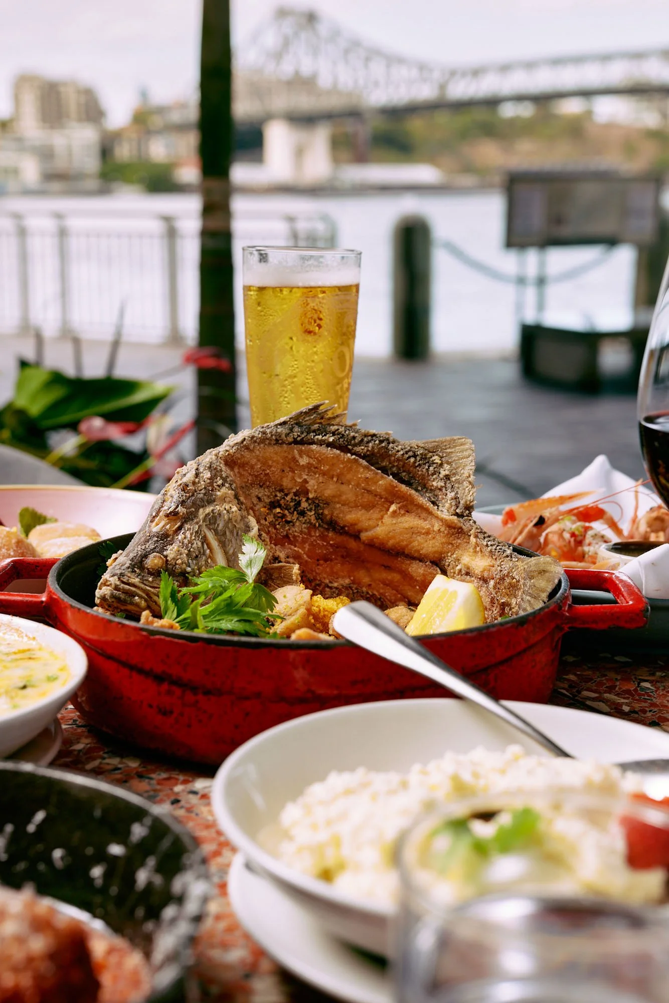 Massimo Italian Restaurant Brisbane Award-Winning Italian Cuisine on ...