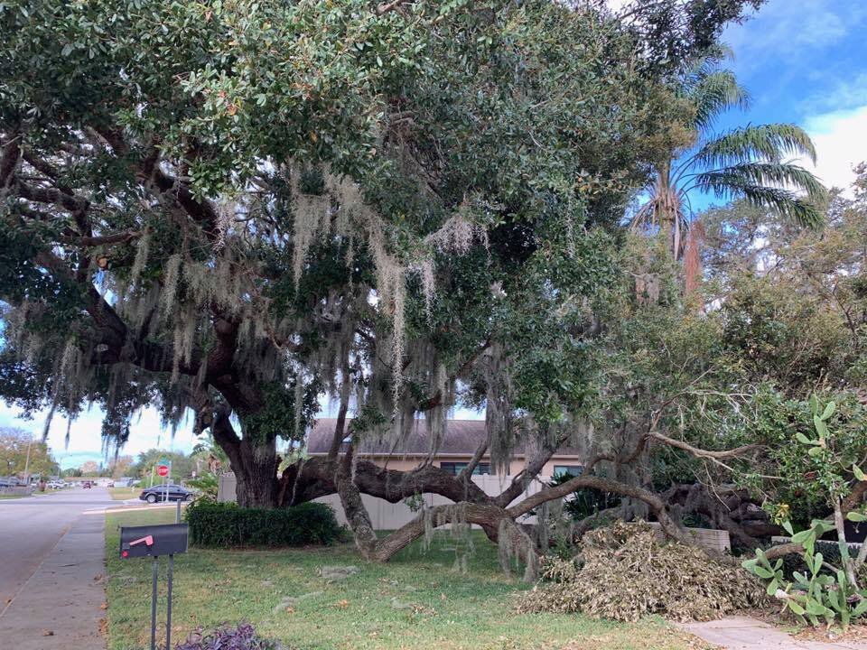 Gallery — RedTree Landscape Systems