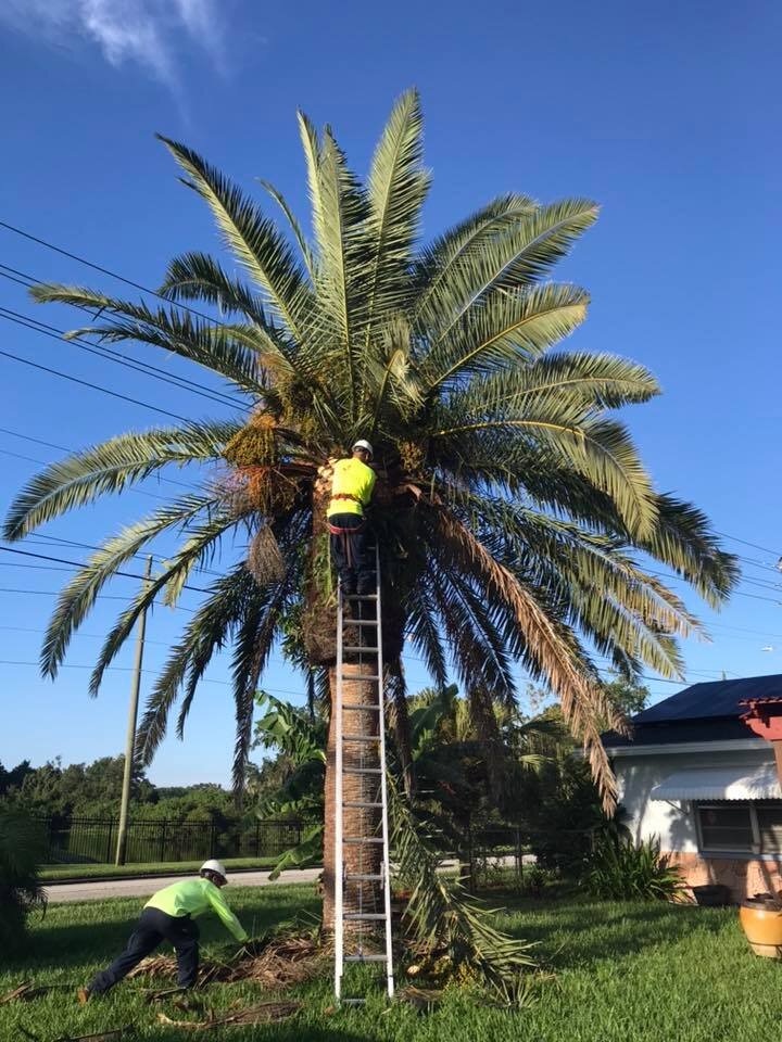 Gallery — RedTree Landscape Systems