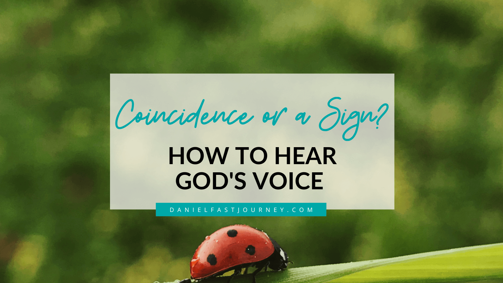 Coincidence or Sign? How To Hear From God — Daniel Fast Journey