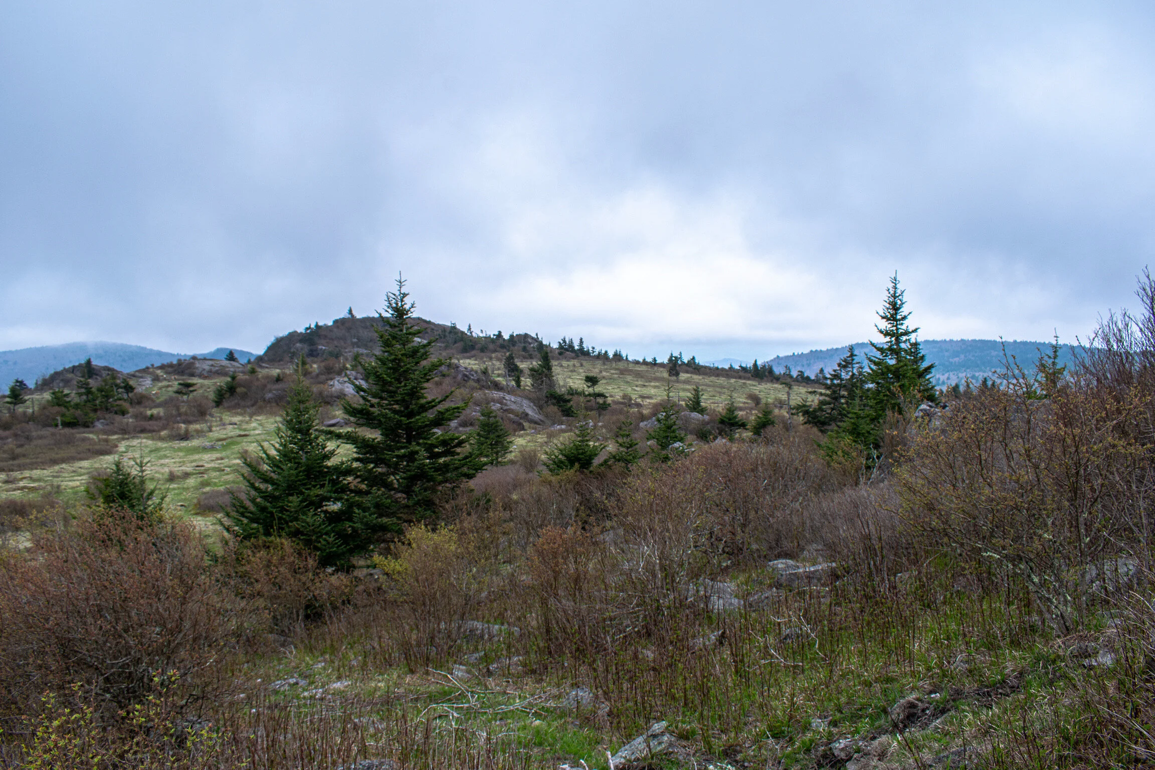 Appalachian Section Trail Hike Grayson Highlands to Damascus May 2020 ...