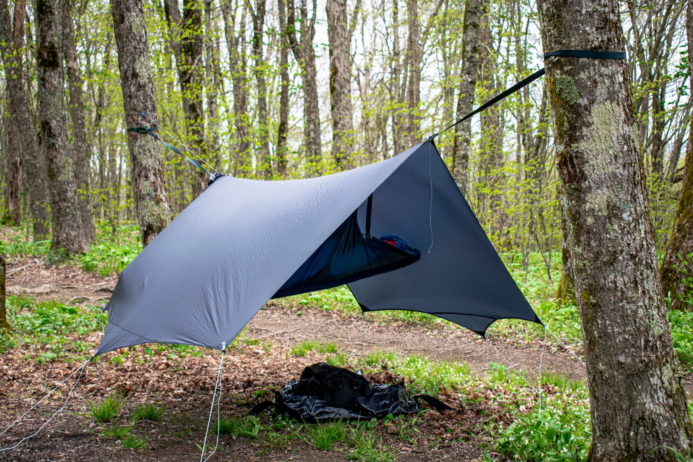 Appalachian Section Trail Hike Grayson Highlands to Damascus May 2020 ...