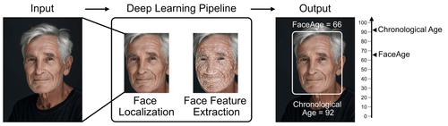 FaceAge — AIM - Harvard