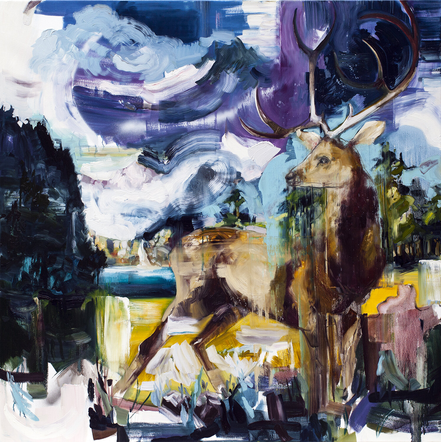 GALLERY — CORI CREED