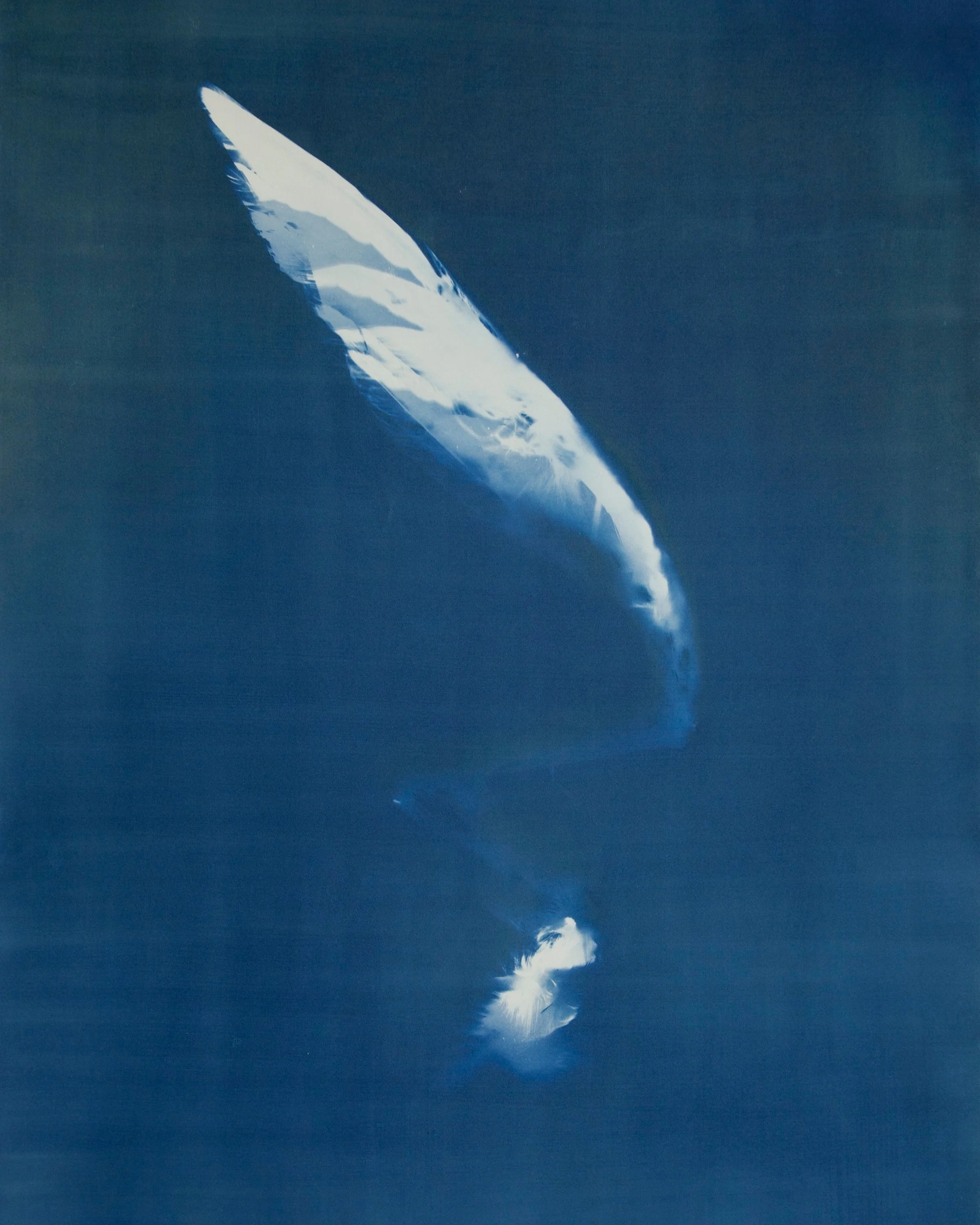 Work — Janelle Lynch