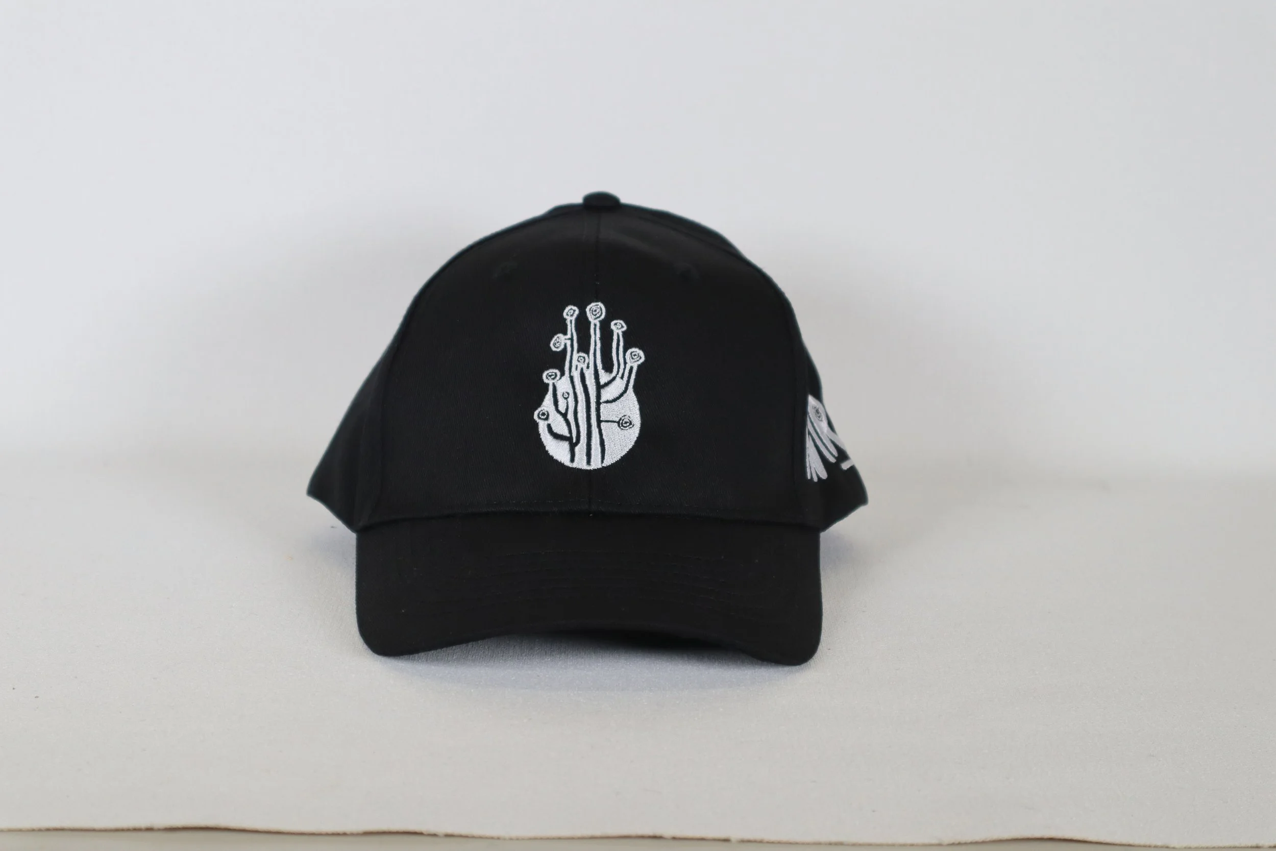 SHOP — Iwiri