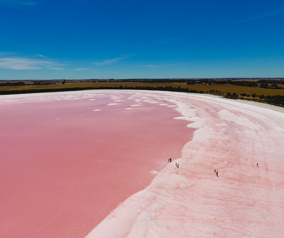 South Australia Hidden Gems — Kiwi Talks Travel