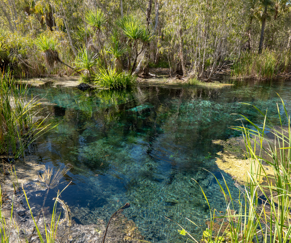 Best-Kept Secrets In The Northern Territory — Kiwi Talks Travel