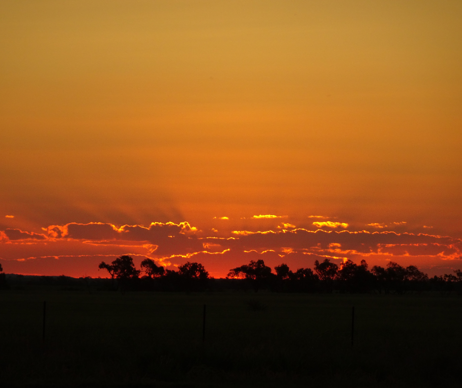 7 Best Winter Activities In Queensland — Kiwi Talks Travel