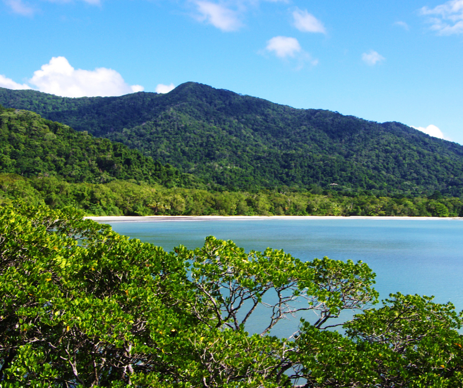 7 Best Winter Activities In Queensland — Kiwi Talks Travel