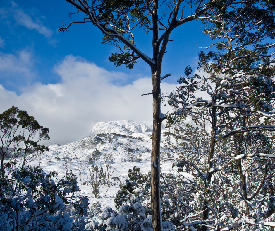 9 Things To Do In Tasmania In Winter — Kiwi Talks Travel
