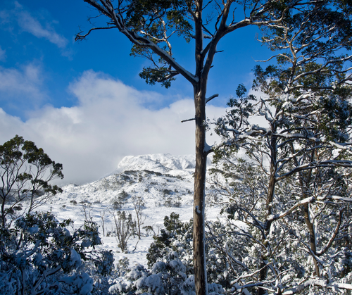 9 Things To Do In Tasmania In Winter — Kiwi Talks Travel