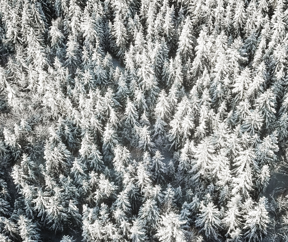 9 Things To Do In Tasmania In Winter — Kiwi Talks Travel