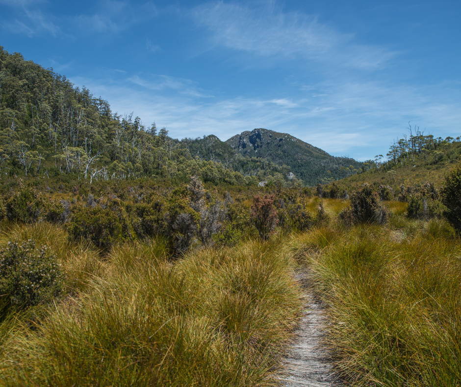 9 Things To Do In Tasmania In Winter — Kiwi Talks Travel