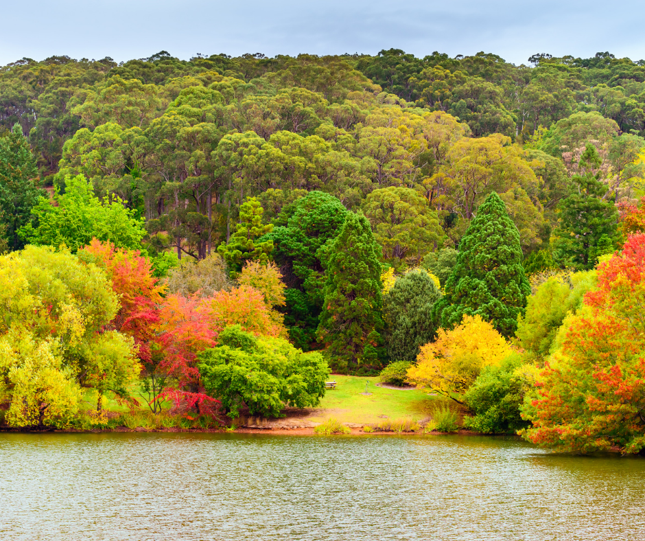 9 Fun Things To Do In South Australia In Winter — Kiwi Talks Travel