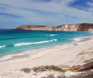 Top 10 South Australia Activities — Kiwi Talks Travel