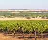 Top 10 South Australia Activities — Kiwi Talks Travel