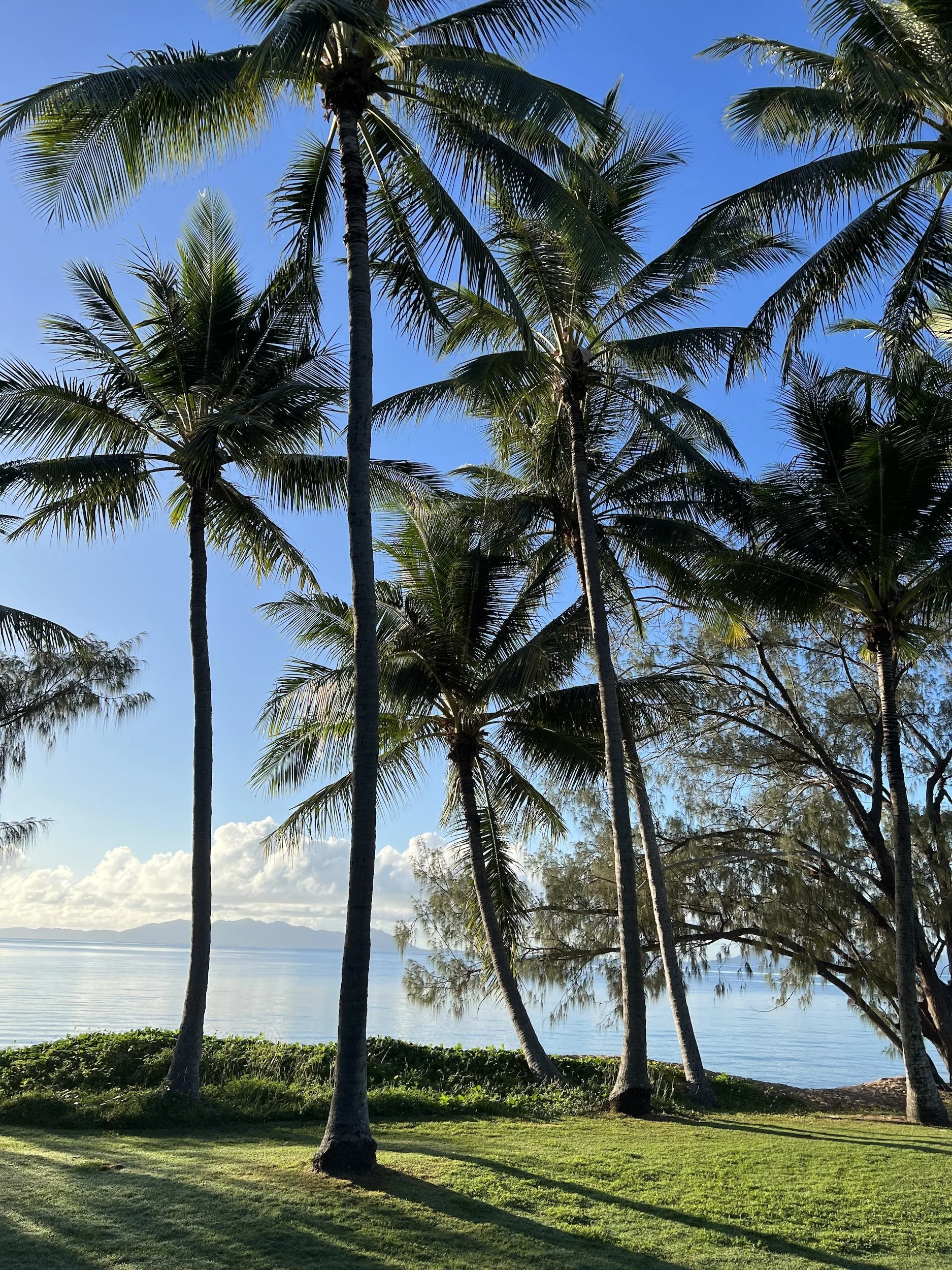 Best Summer Activities in Australia — Kiwi Talks Travel