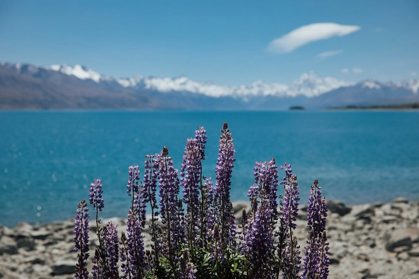 Places You Can't Miss In The South Island — Kiwi Talks Travel
