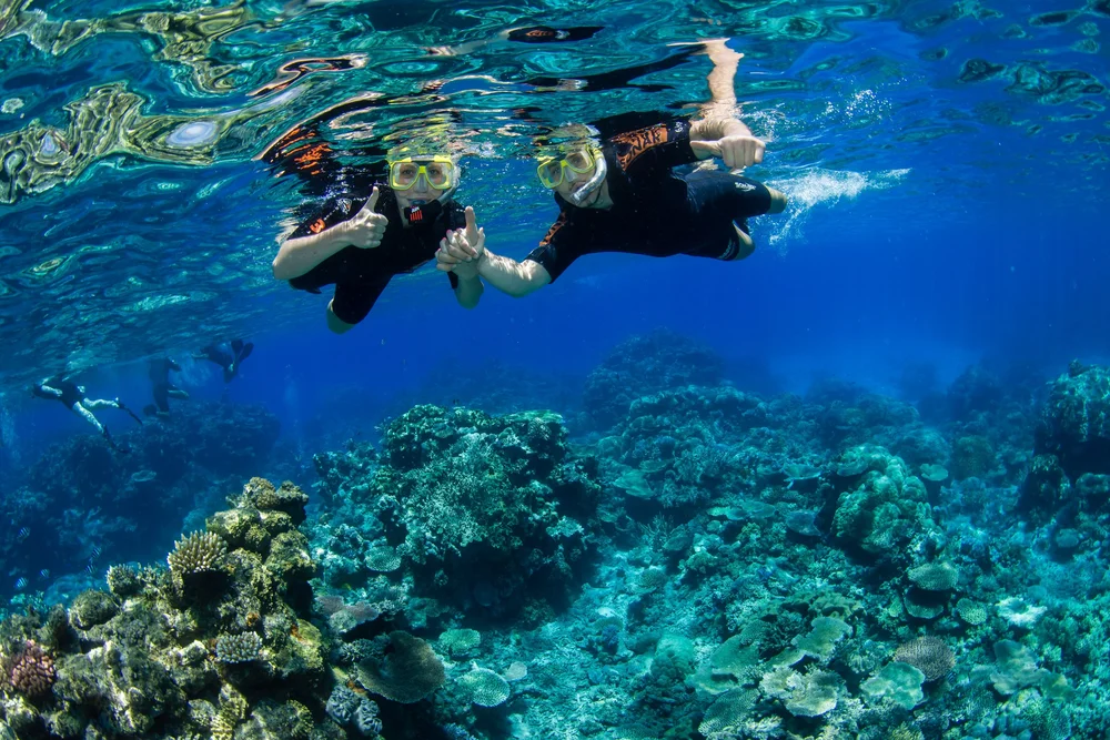 The Ultimate Great Barrier Reef Guide — Kiwi Talks Travel