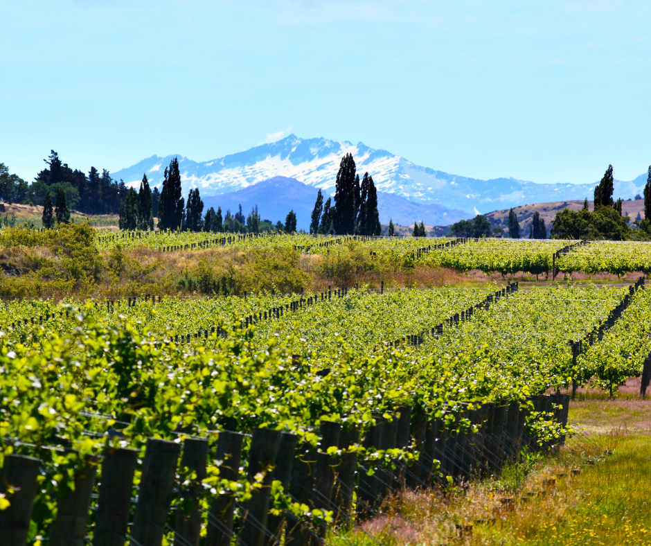 Best Things to Do in the South Island in Summer — Kiwi Talks Travel