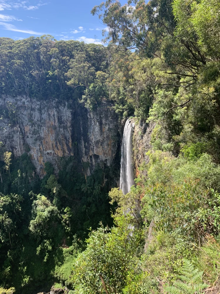 8 Scenic Road Trips in Queensland You Must Go On — Kiwi Talks Travel