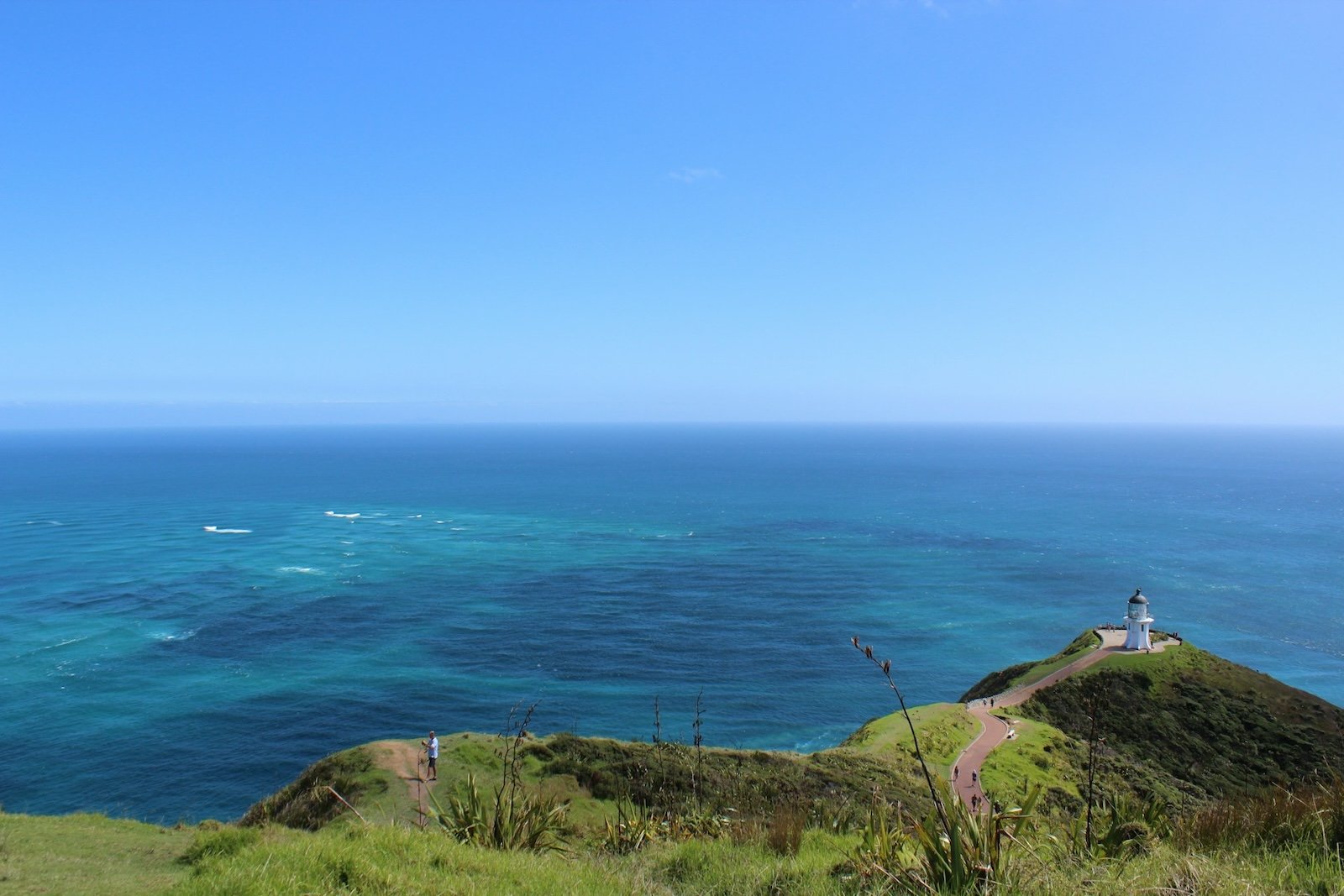 Must-See Places in the North Island — Kiwi Talks Travel