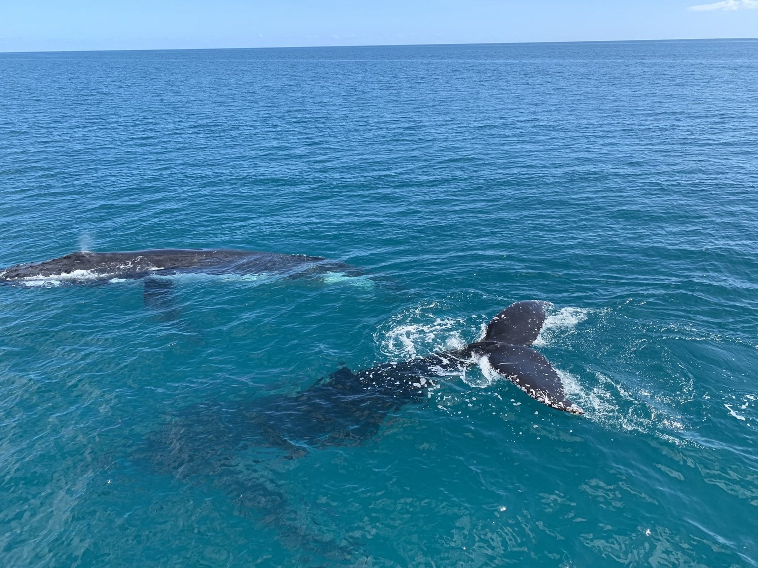 Things to do in Queensland in Winter — Kiwi Talks Travel