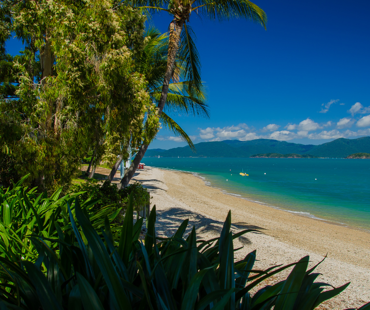 The Ultimate Whitsunday Islands Guide — Kiwi Talks Travel