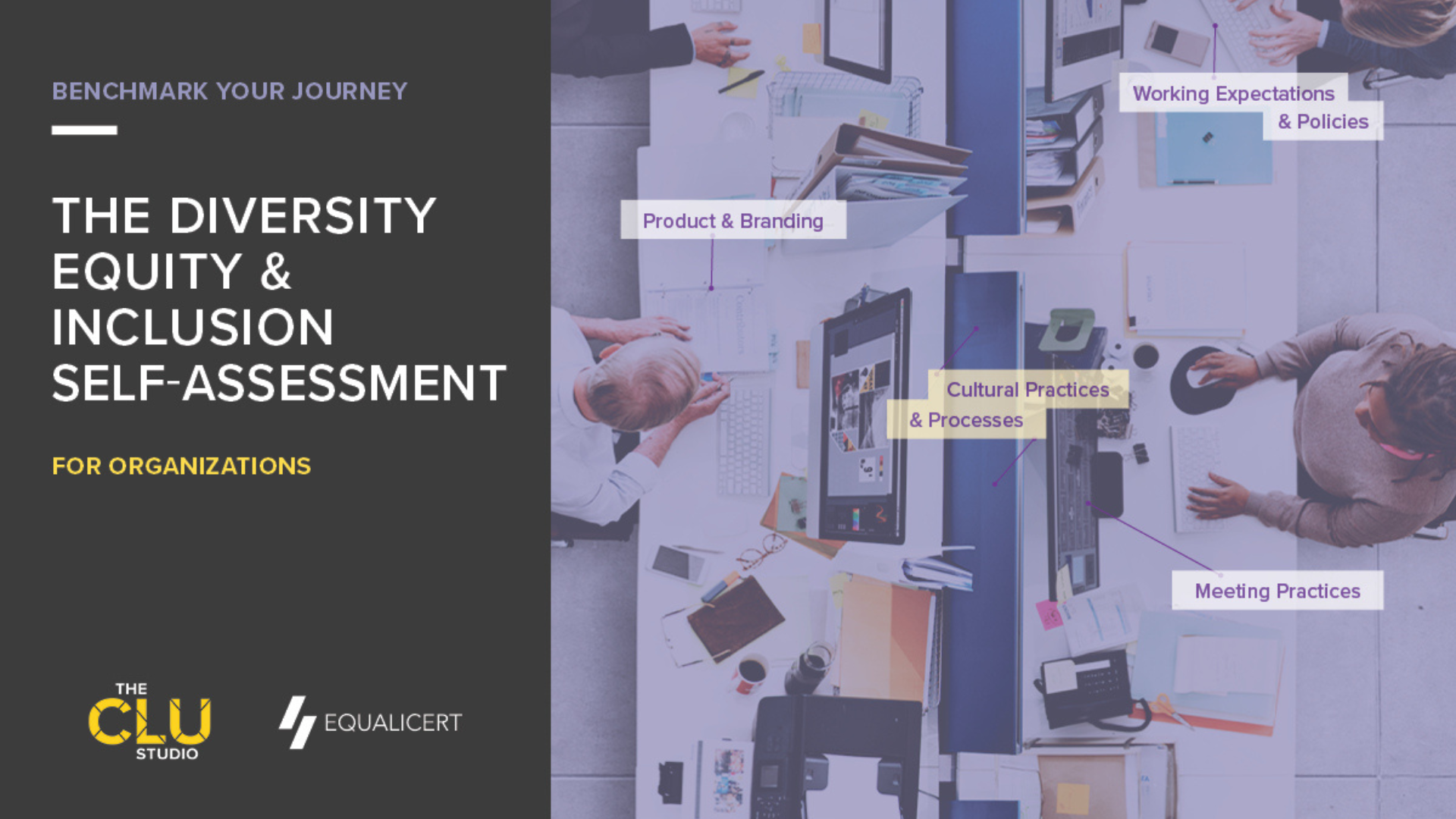 The Diversity Equity & Inclusion Self Assessment — The CLU Studio ...