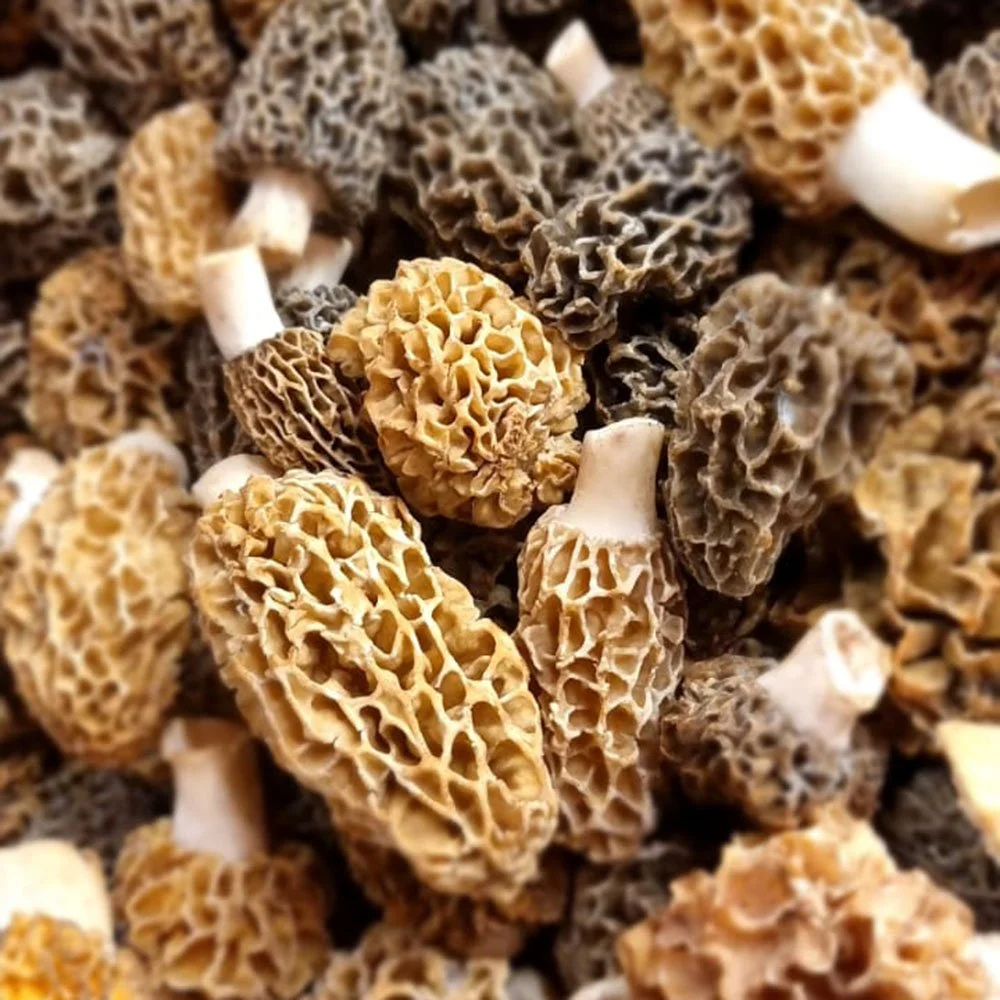 Market Report - Fresh Catering Products From Le Marché London