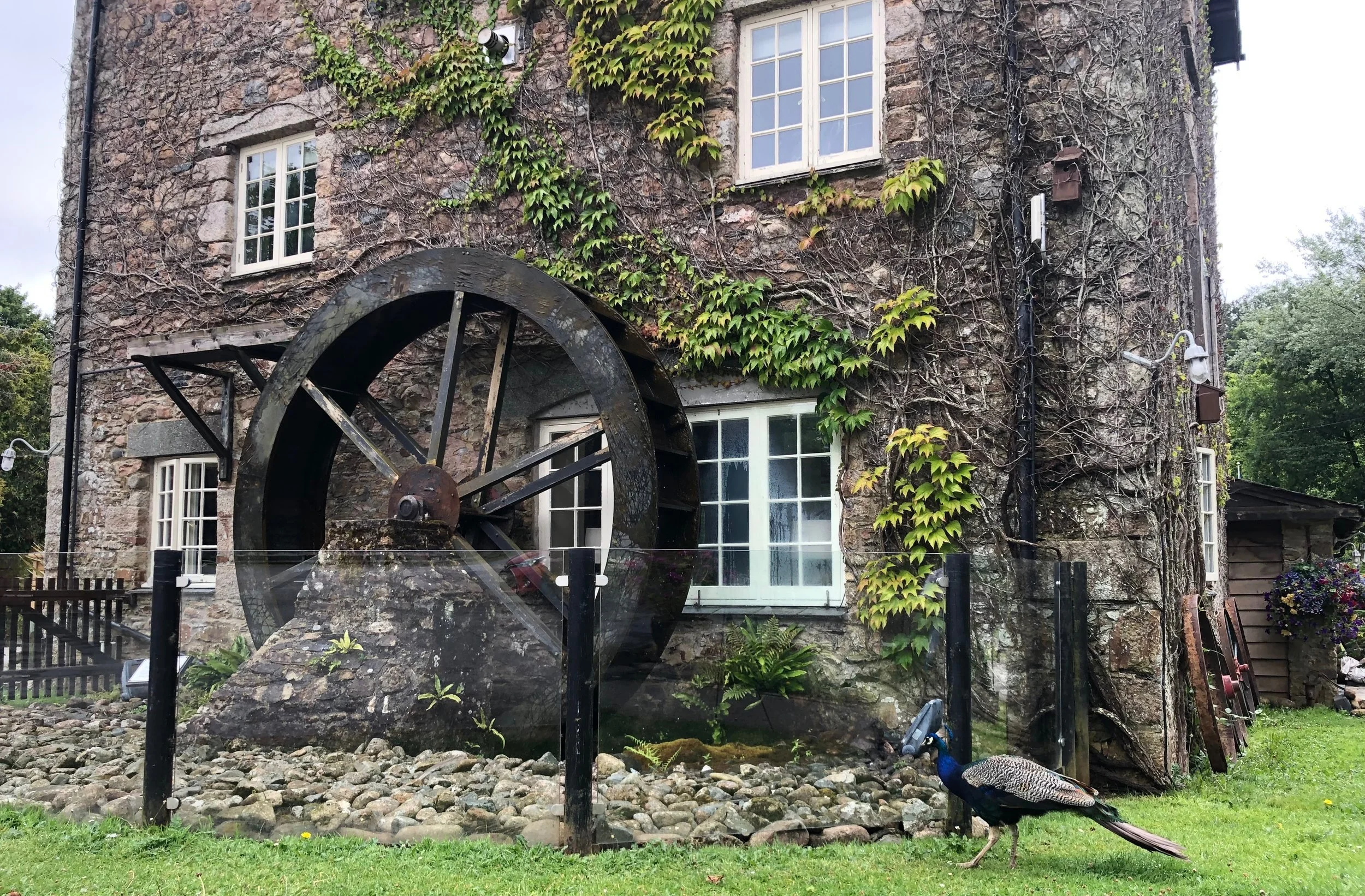 Origin stories: a millstone around the neck — Suzanne Arnold