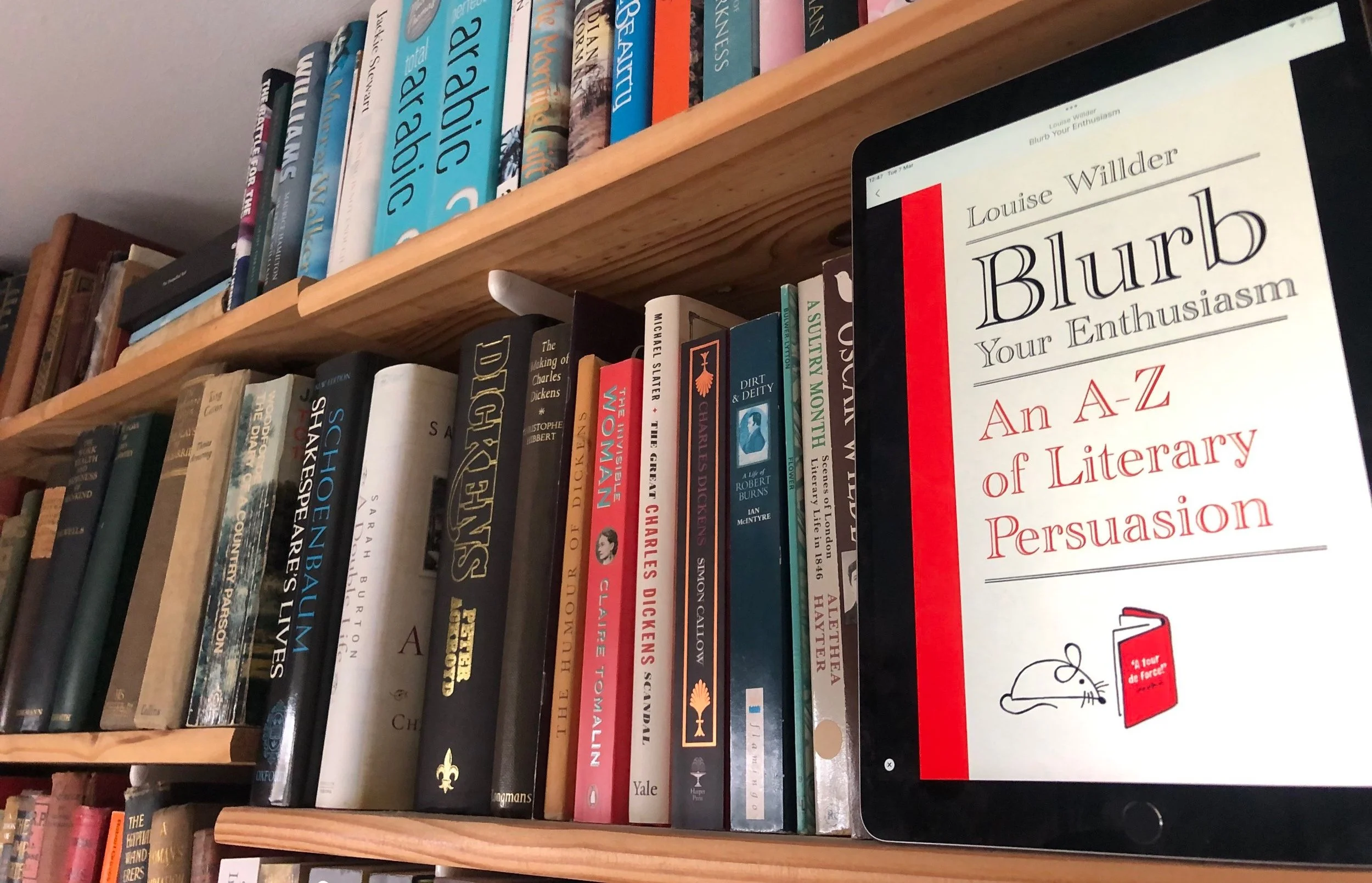 Book review: Blurb Your Enthusiasm — Suzanne Arnold