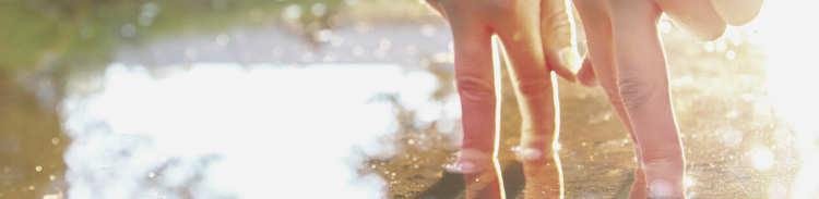 Storytelling Based Curriculum — Handy Lingo - Sign Language Workshops ...