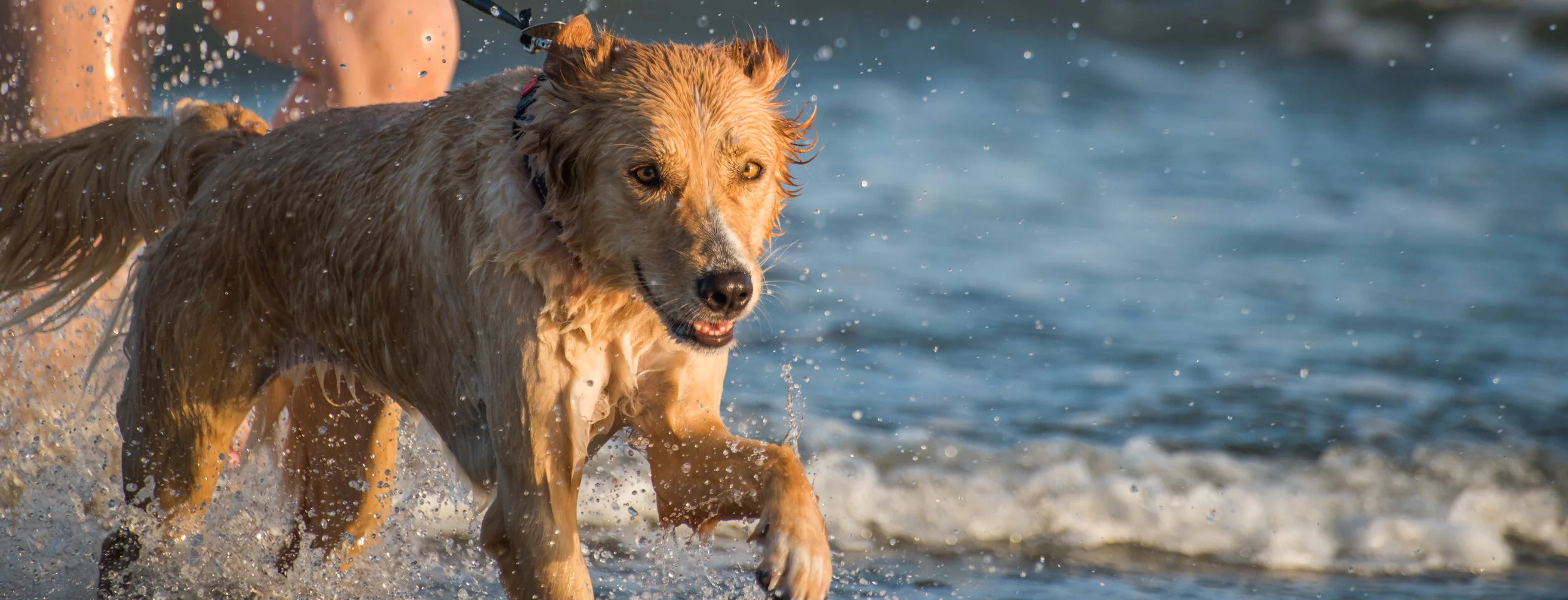 Boundless Photography