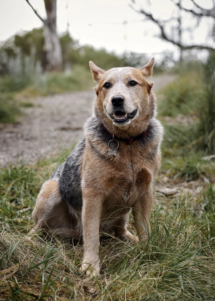 Office — Gardiner Architects