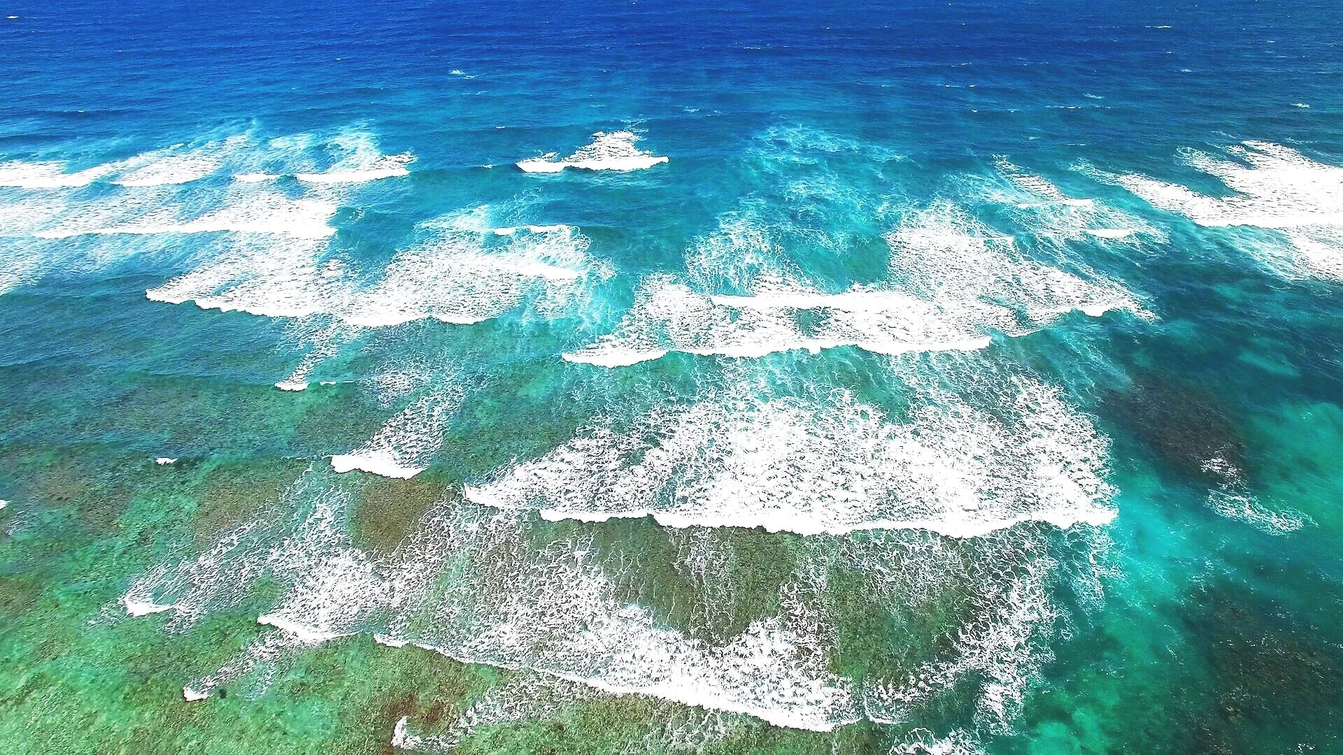 Alejandro Durán Museo De La Basura