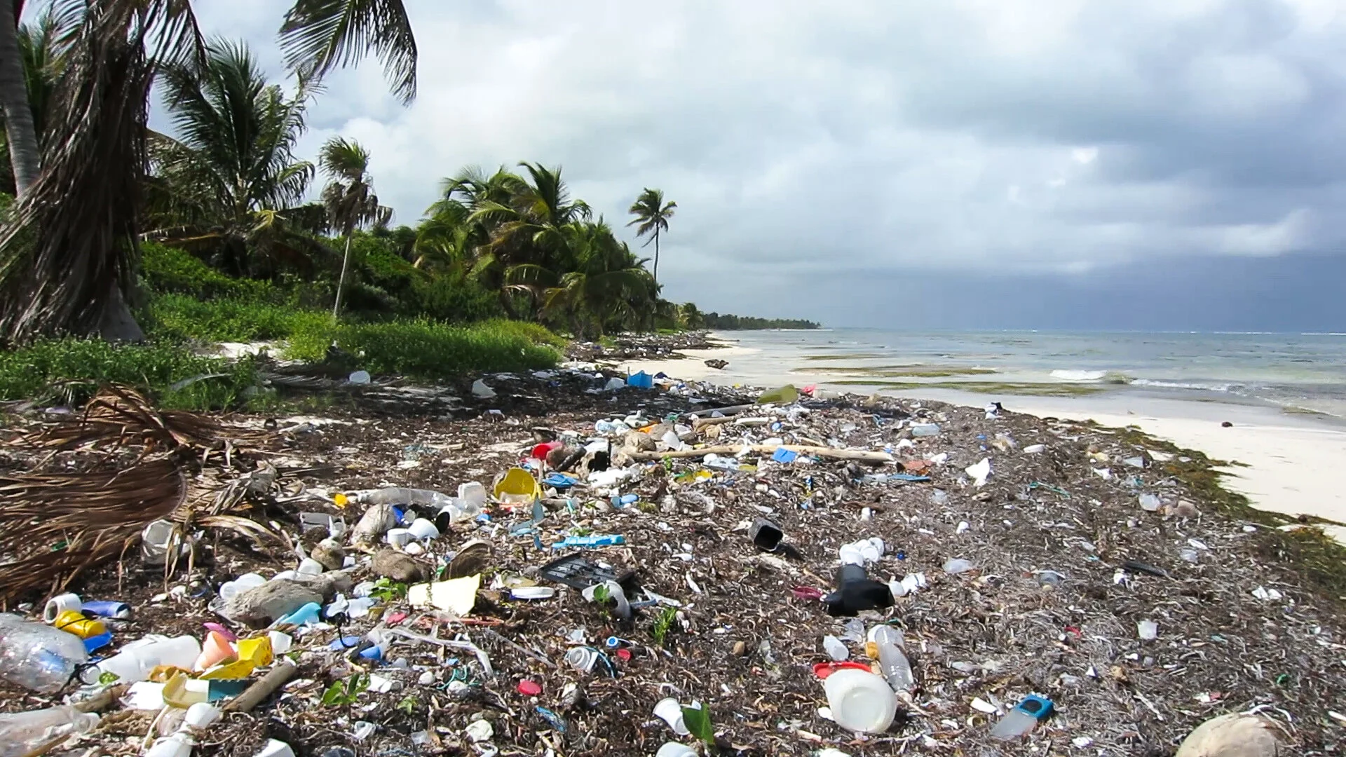 Alejandro Durán // Washed Up Project