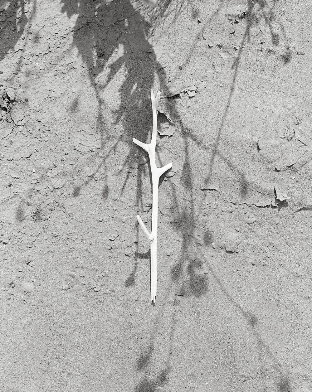 Black Merino - THISISNON x CJ Heyliger — Acreati