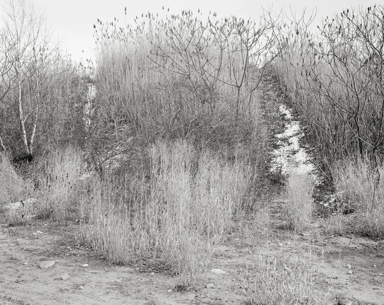 Black Merino - THISISNON x CJ Heyliger — Acreati