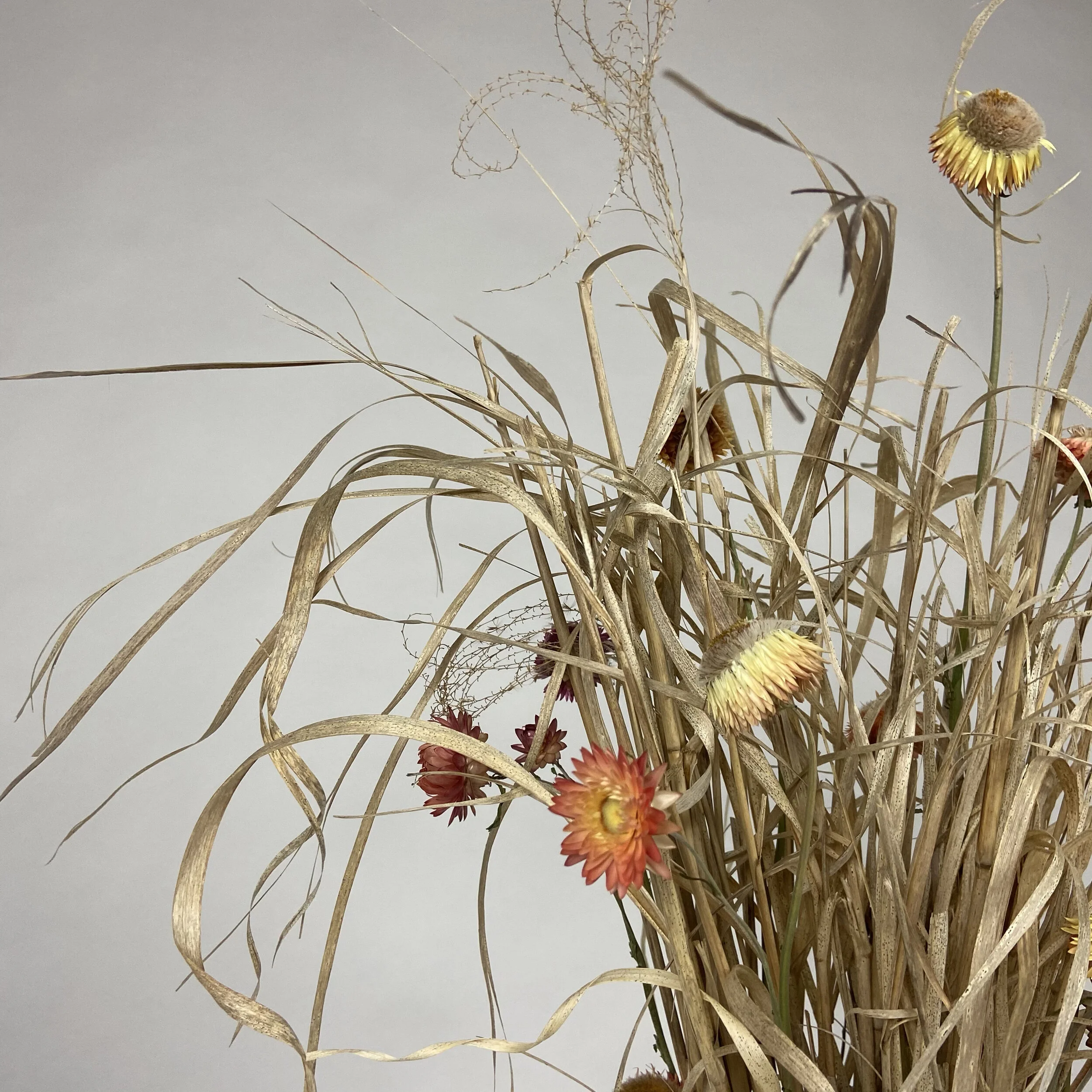 Wretched Flowers