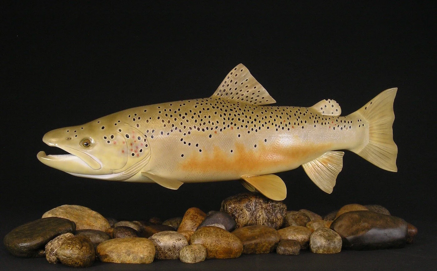 Mike Butler • Fish Carver gallery of Fish Carvings — Mike Butler • Fish ...