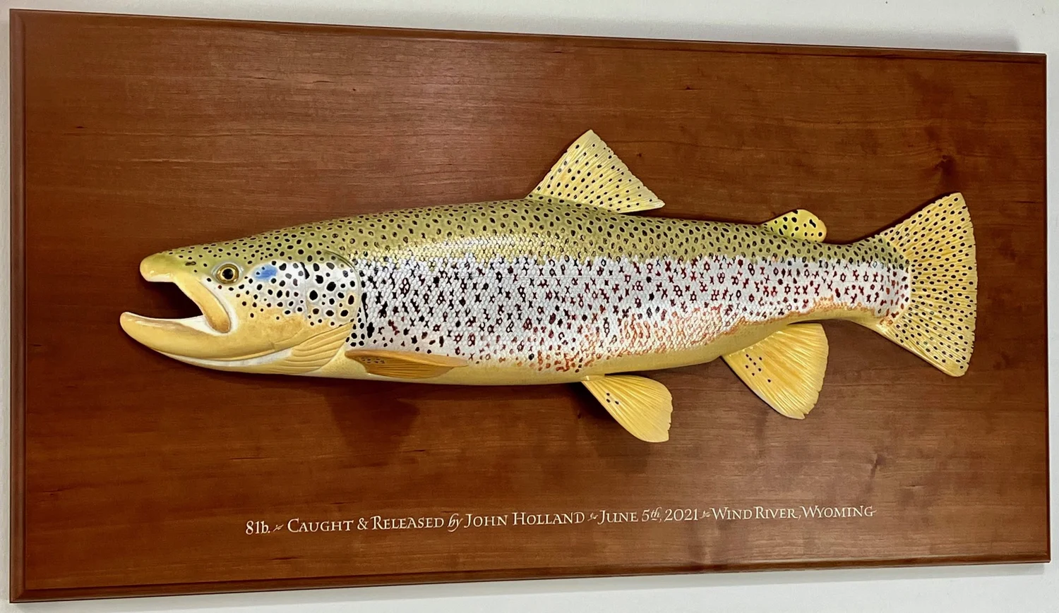 Mike Butler • Fish Carver gallery of Fish Carvings — Mike Butler • Fish ...