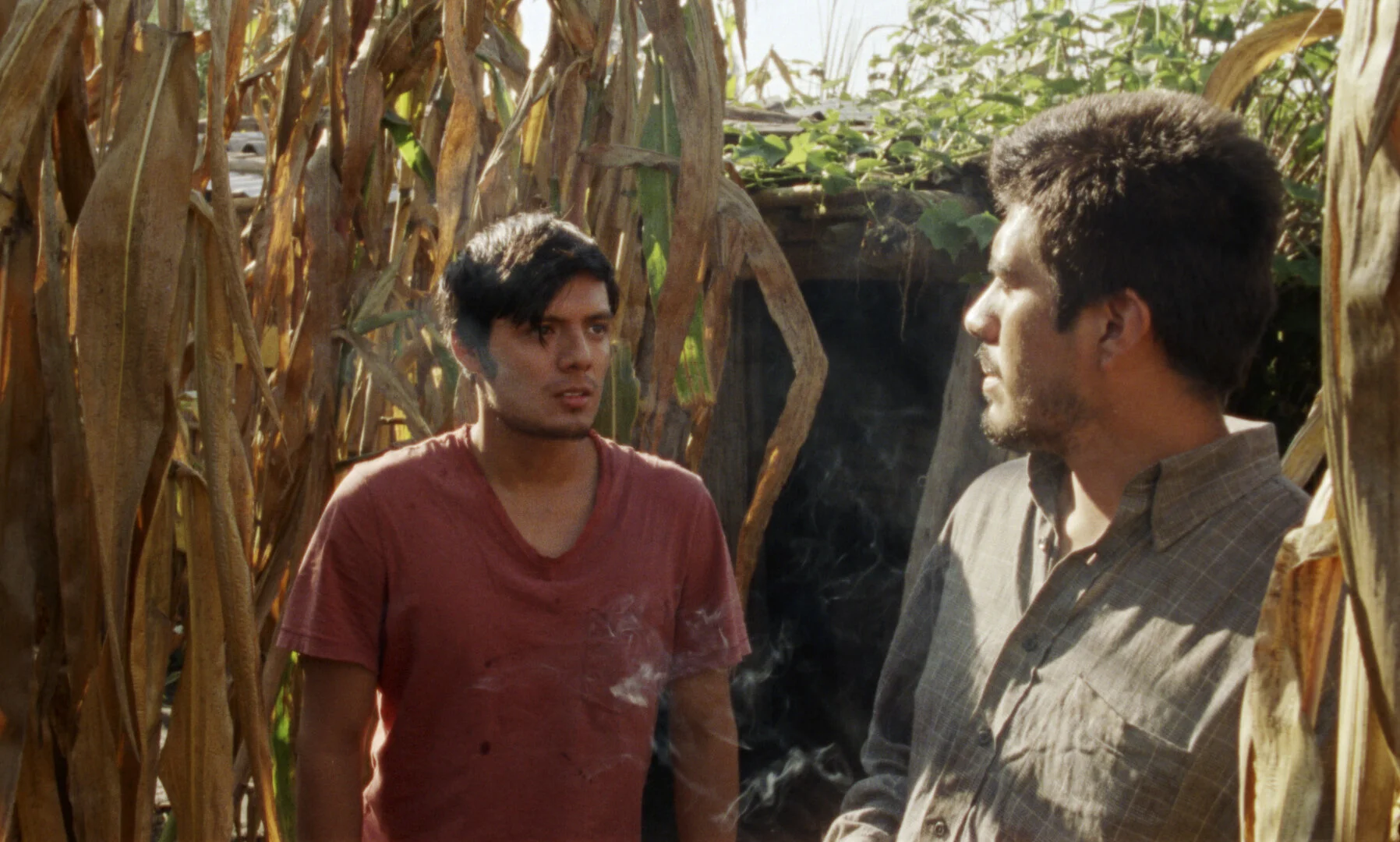 FICM 2020: 'Agua', un cortometraje de Santiago Zermeño