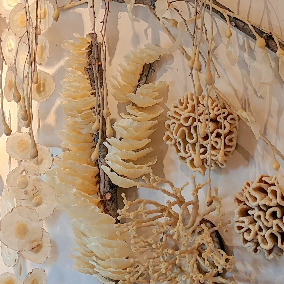 Angela Hansen // Breath — Alternator Centre for Contemporary Art