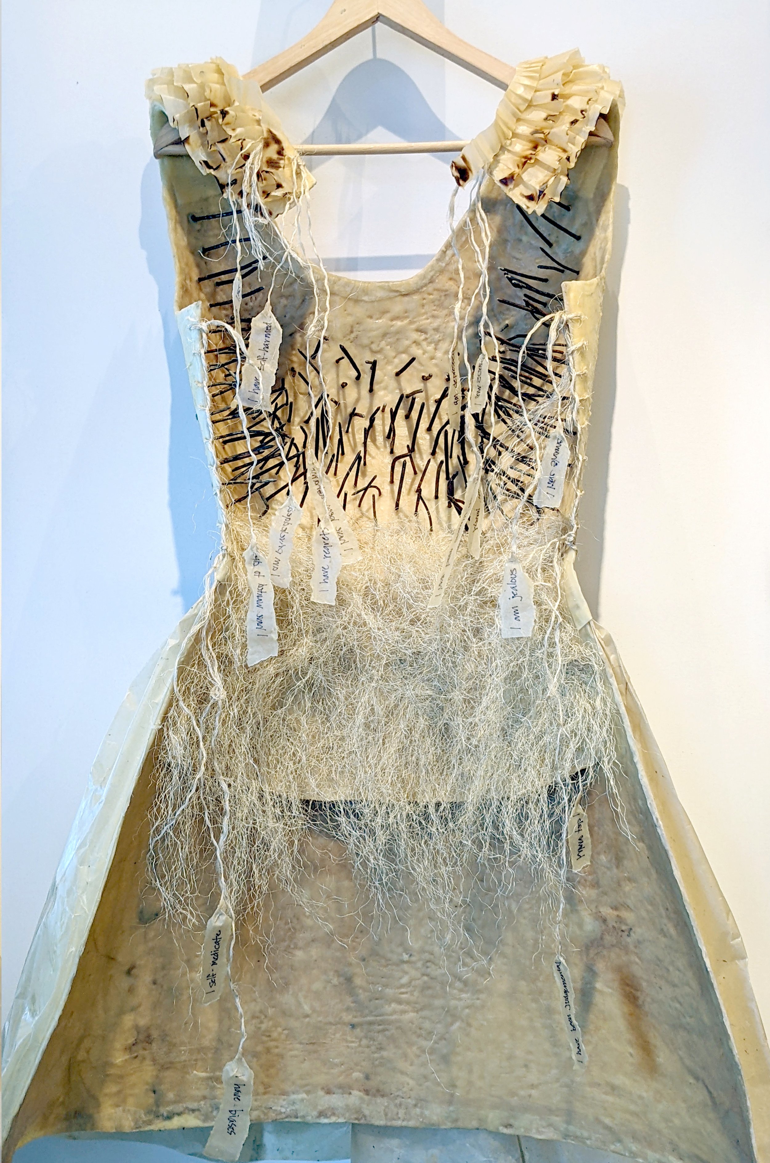 The Assembly 2: Angela Hansen — Alternator Centre for Contemporary Art